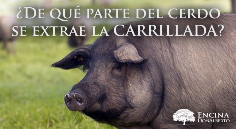 De qué parte del cerdo es la Carrillada o carrillera